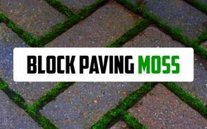 How to Remove and Prevent Moss Growing on Your Block Paving